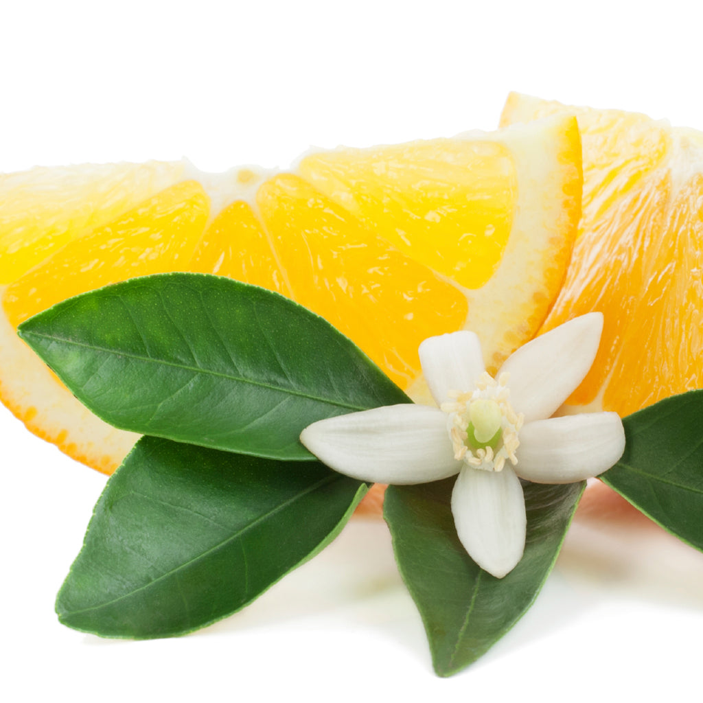 Orange Blossom Fragrance Oil 493 - Crafter's Choice - Fragrance Oils ...