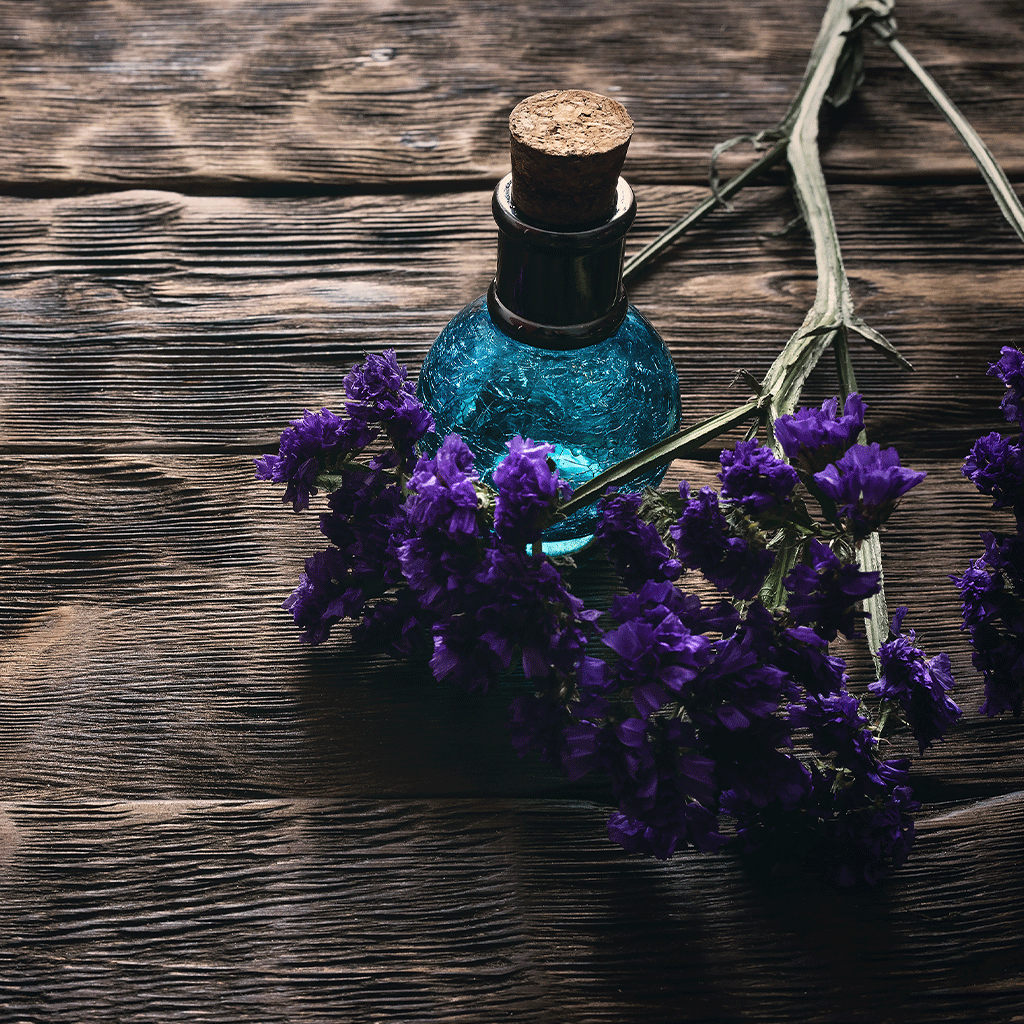 Essence of Nightshade Fragrance Oil 1114 - Crafter's Choice - Fragrance ...
