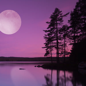Moonlight Path* Fragrance Oil 316 - Crafter's Choice - Fragrance Oils ...