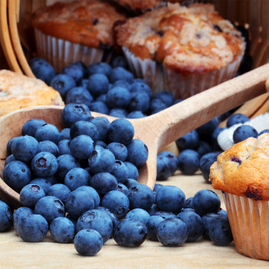 Blueberry Muffin Fragrance Oil 785 - Crafter's Choice - Fragrance Oils ...