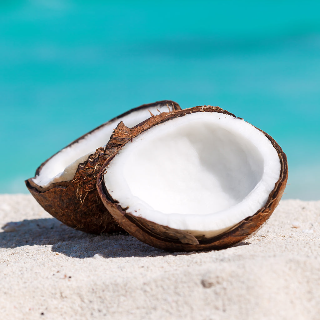 Caribbean Coconut Fragrance Oil 108 - Crafter's Choice - Fragrance Oils ...